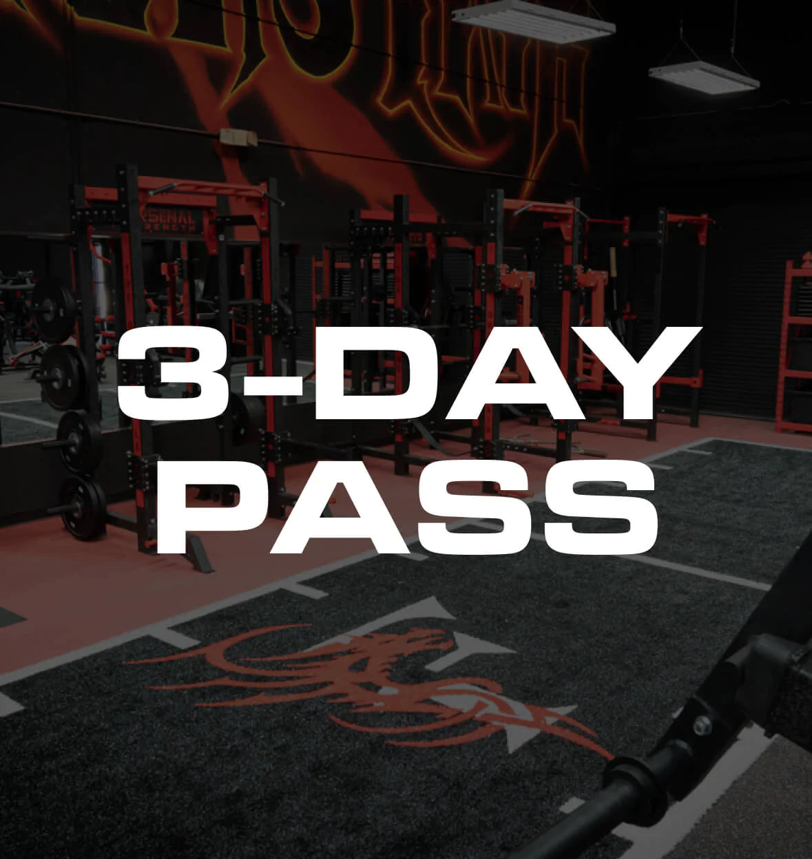 Gym Passes – Dragon's Lair Gym